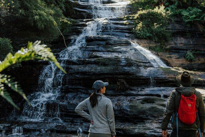 Blue Mountains Day Tour : Featherdale & Bush walk (15 ppl LUX) - Who is This Tour Best Suited For?