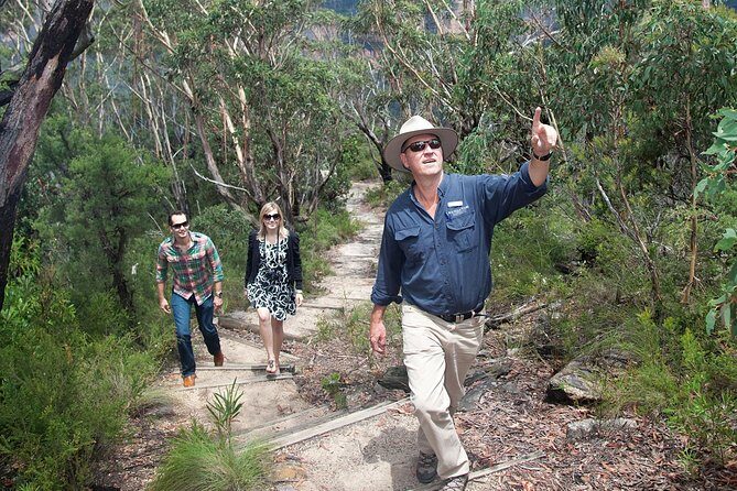 Blue Mountains Day Tour With Bushwalks, Waterfalls & Featherdale - A Deep Dive into the Tour Experience