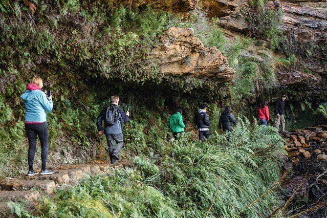 Blue Mountains Day Tour With Bushwalks, Waterfalls & Featherdale - FAQ