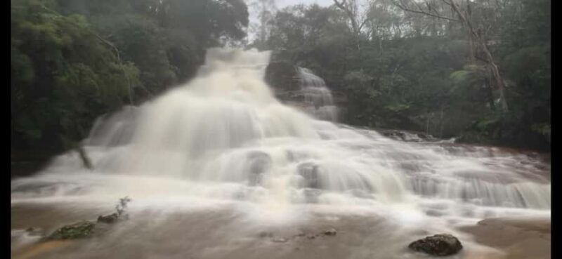 Blue Mountains day tour with Cruise, Scenic world pass & Zoo - Genuine Feedback from Past Travelers