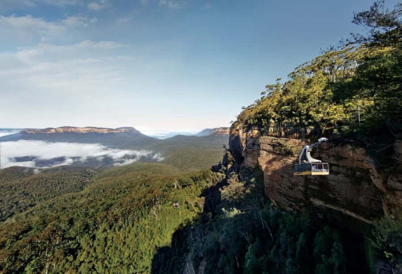 Blue Mountains day tour with Cruise, Scenic world pass & Zoo - FAQ
