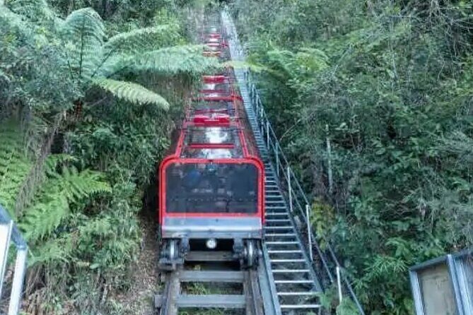 Blue Mountains Exclusive Private Tour - FAQ