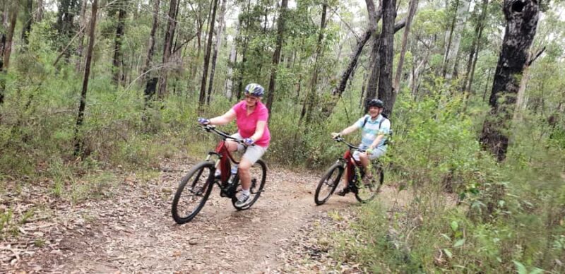 Blue Mountains: Guided Mountain e-Bike Tour, Blue Labyrinth - Who Will Love This Experience?