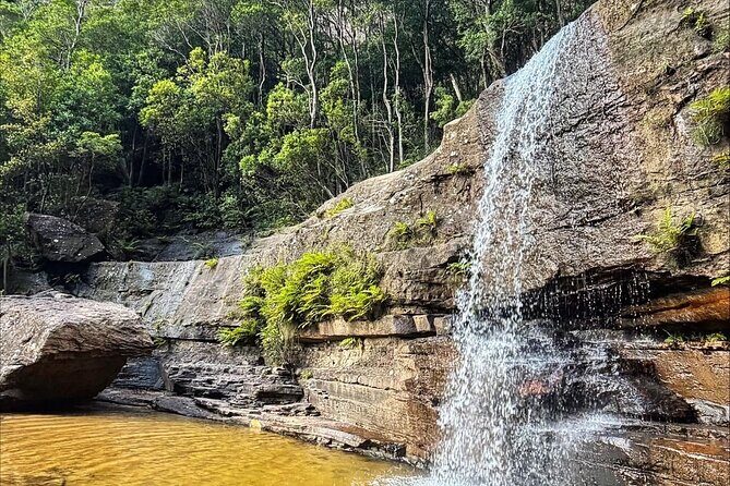 Blue Mountains Helicopter and 4WD Eco Tour Experience - Exploring the Itinerary in Detail