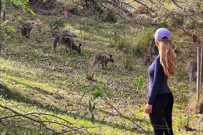 Blue Mountains Helicopter and 4WD Eco Tour Experience - Frequently Asked Questions