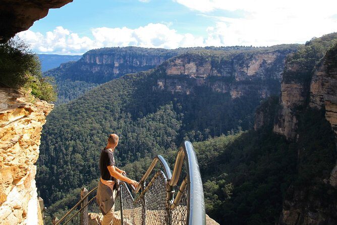 Blue Mountains Highlights & Wildlife Park - Who Should Consider This Tour?