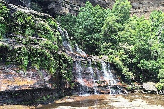 Blue Mountains Highlights & Wildlife Park - Final Thoughts