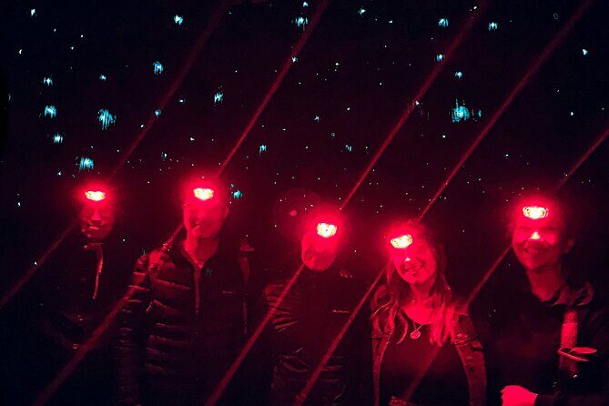 Blue Mountains Hiking Glow worms Cave Wildlife Spotlighting Night Adventure - In-Depth Look at the Tour Experience