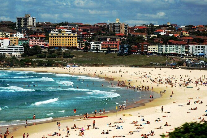 Blue Mountains | Koalas, Kangaroos & Bondi Beach Private Tour - Who Is This Tour Best Suited For?