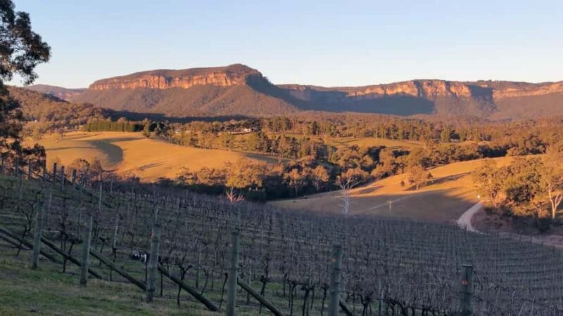 Blue Mountains: Megalong Valley Wine Tasting & Lunch - Discovering the Megalong Valley Wineries