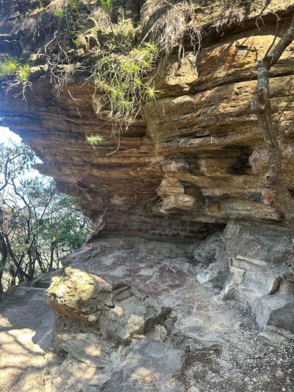 Blue Mountains: Overcliff-Undercliff Guided Hike - An In-Depth Look at the Experience