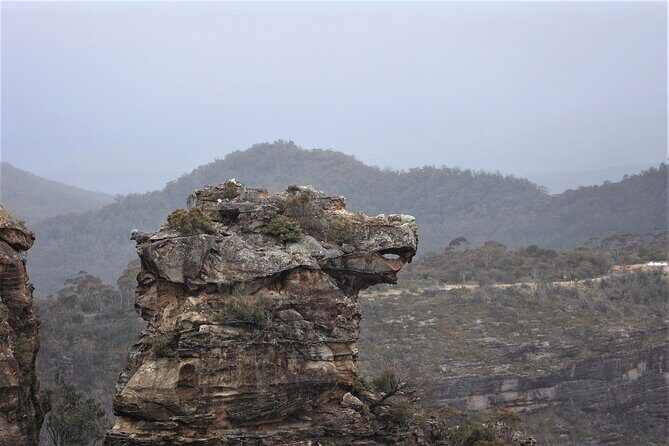 Blue Mountains Private Tour - Final Thoughts: Who Will Love This Tour?