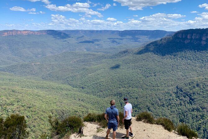 Blue Mountains Private Tour From Sydney, & Featherdale Aussie Animal Park Option - Exploring the Blue Mountains Private Tour from Sydney: An Honest Review