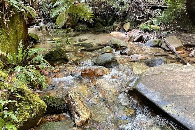 Blue Mountains Private Tour & Memorable Gems & wild marsupials - Starting with a Friendly Introduction: Why This Tour Stands Out