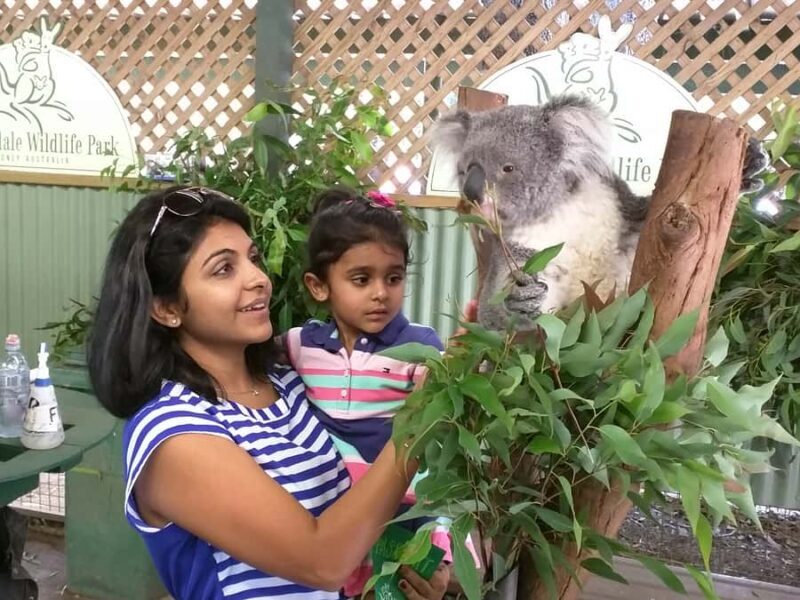 Blue Mountains private tour with Featherdale Wildlife Park - A Closer Look at the Tour Experience