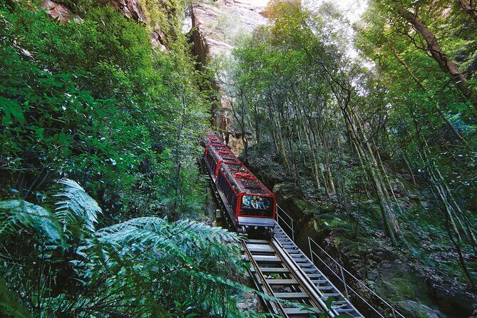 Blue Mountains Private Tour with Kangaroo and Koala Experience - Final Thoughts: Who Should Consider This Tour?