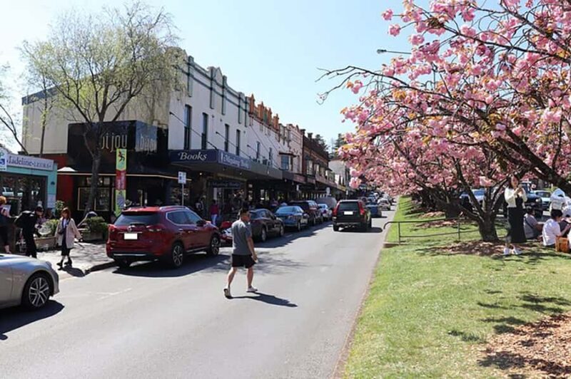 Blue Mountains: Private Tour with Wildlife and River Cruise - Final Stretch: Convenience and Personalization