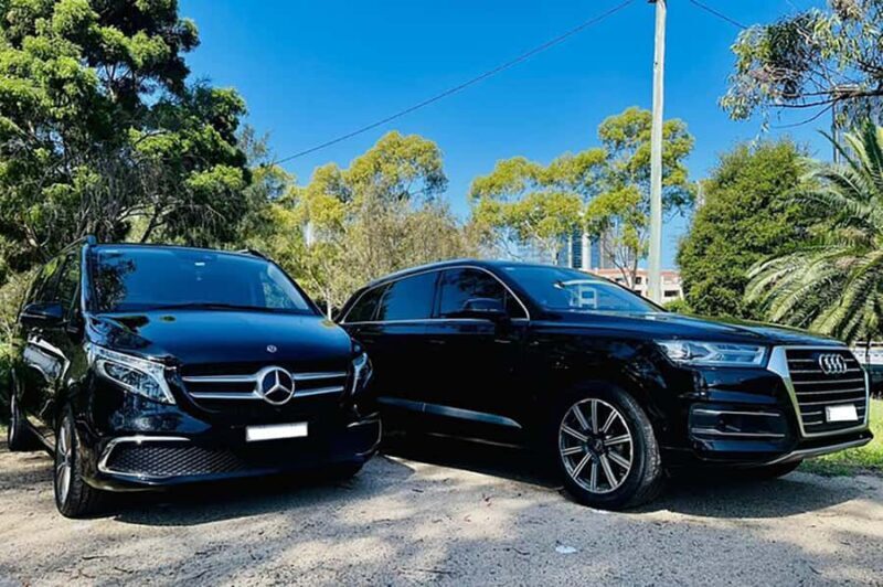 Blue Mountains: Private Tour with Wildlife and River Cruise - Authentic Guest Perspectives