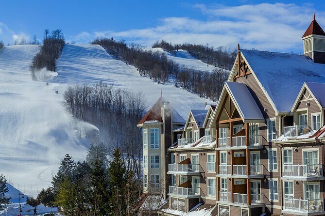 Blue Mountains Shuttle from Toronto Village or Scenic Caves - Key Points