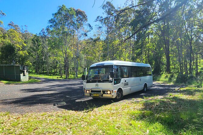 Blue Mountains Small Group Tour with Waterfall Walk & Fresh Lunch - The Sum Up