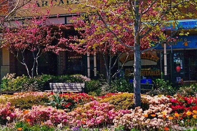 Blue Mountains Tour & Gems & Suv Pickup and Drop Off - FAQs