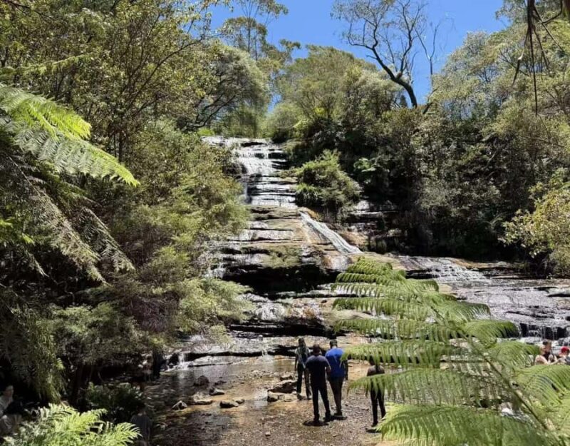 Blue Mountains Tour, Katoomba Falls & Cockatoos Small Group - The Itinerary in Detail: What to Expect from Start to Finish