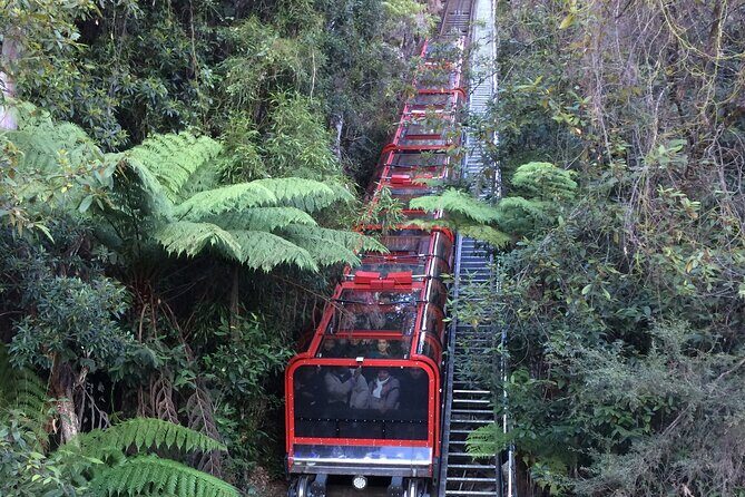 Blue Mountains Tour PRIVATE with Wildlife Park and River Cruise - Conclusions: Is This Tour Right for You?