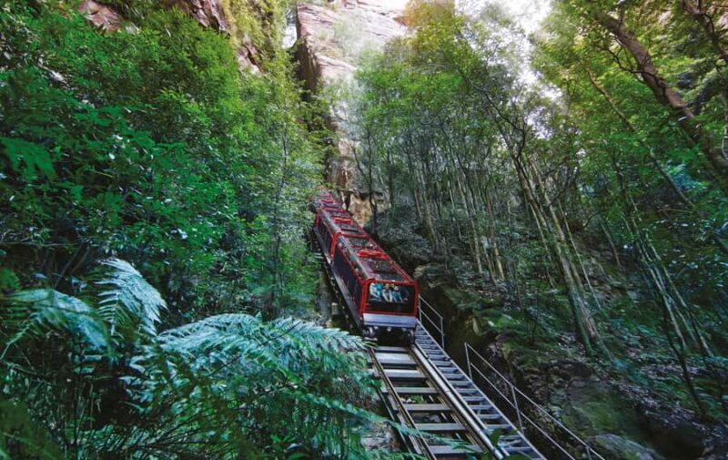 Blue Mountains Tour with Scenic World, Zoo&Bilingual Driver - Key Points
