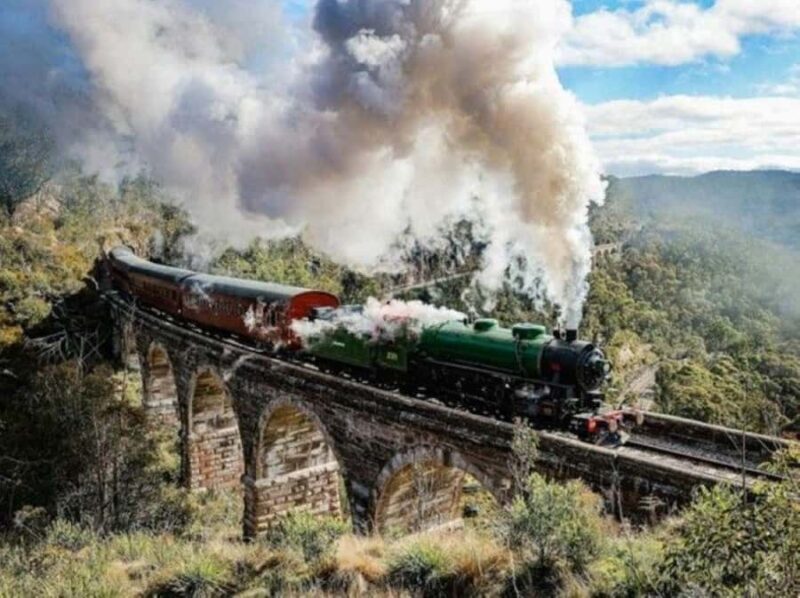 Blue Mountains, Zig Zag Railway and Botanical Gardens Tour - An In-Depth Look at the Tour Experience