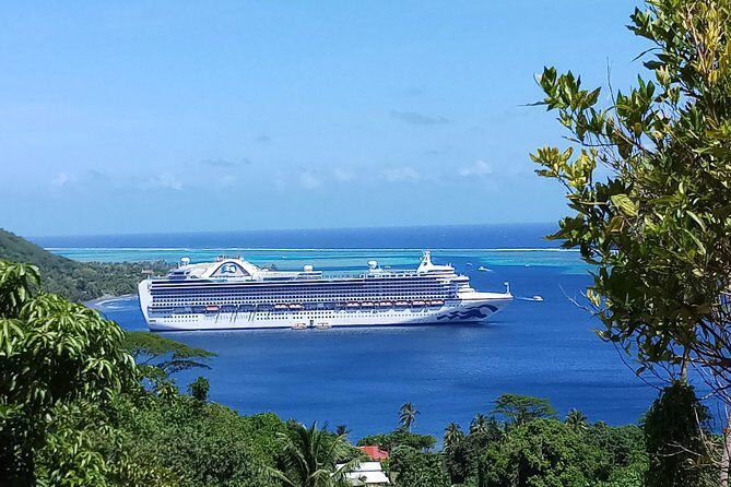 Blue Pearl Private Tour - Is It Worth the Cost?