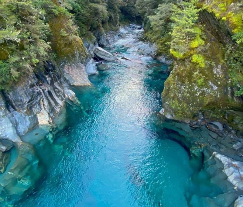 Blue Pools & Makarora Day Walk - Why This Tour Stands Out