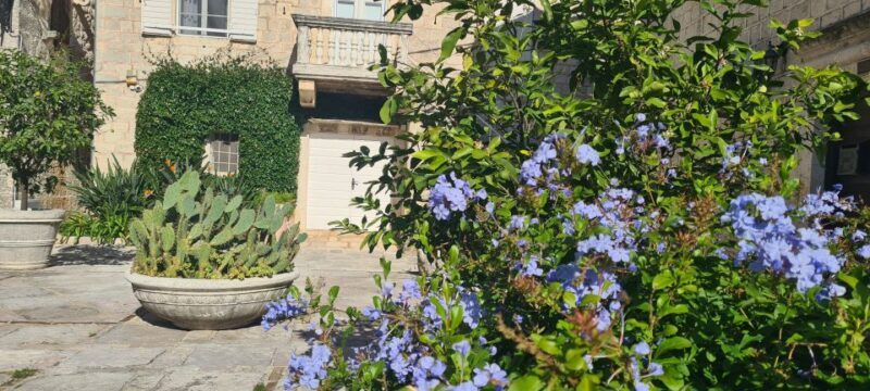 Blue Sea & Black Mountains - Montenegro - What You’ll Need to Know Before You Go