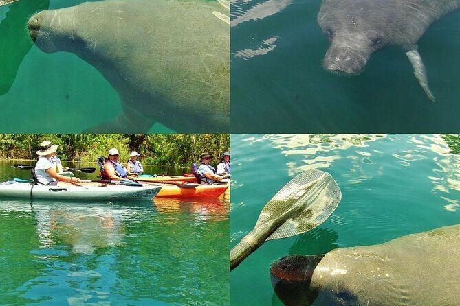 Blue Springs Kayak & Swim Wildlife Adventure - An In-Depth Look at the Tour Itinerary