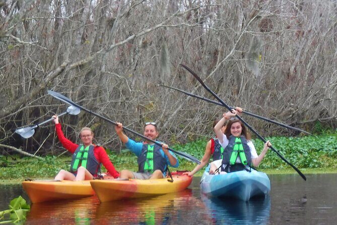 Blue Springs Kayak & Swim Wildlife Adventure - Final Thoughts: Is This Tour Worth It?
