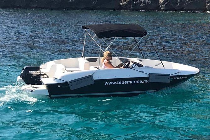 Bluemarine.me license free Bayliner Element E5 rental - The Experience at a Glance