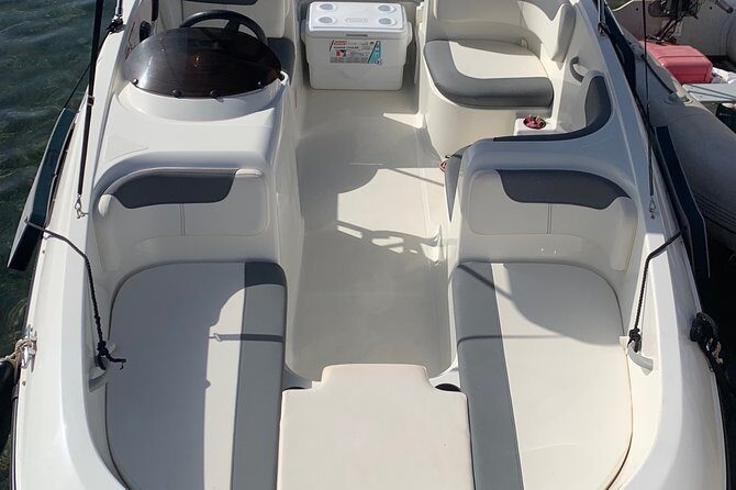 Bluemarine.me license free Bayliner Element E5 rental - The Sum Up
