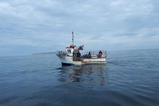Boat and Kayak at Berlenga Natural Reserve - Why This Tour Offers Great Value