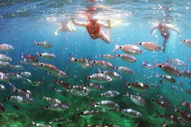 BOAT & KAYAK! Sea Adventure - Snorkeling & Cliff Jumps - Key Points