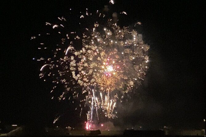 Boat Magical Private Cruise 4U Cannes Lerin Islands Eco Museum - FAQ