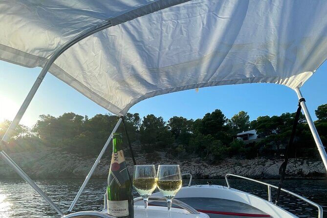 Boat Rental Without License Full day (8hs) - The Experience: What You Can Expect