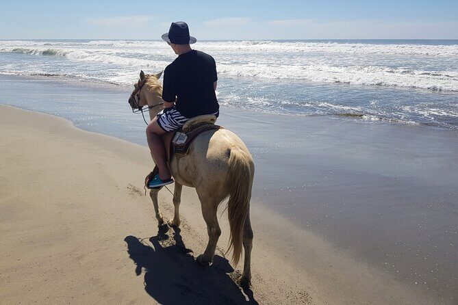 Boat Ride-Gentle Beach Beach Horseback Ride+Lunch-Crocs-Turtles - Introduction: What Makes This Tour Special?