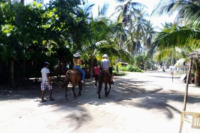 Boat Ride-Gentle Beach Beach Horseback Ride+Lunch-Crocs-Turtles - Why the Guides Make a Difference