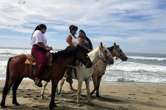 Boat Ride-Gentle Beach Beach Horseback Ride+Lunch-Crocs-Turtles - The Sum Up: Is This Tour Right for You?
