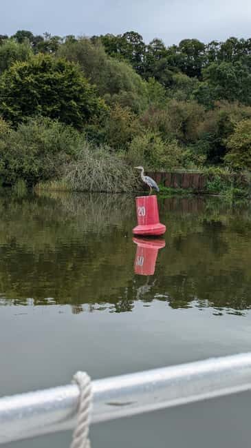 Boat ride on the Canal de la Rance - The Sum Up