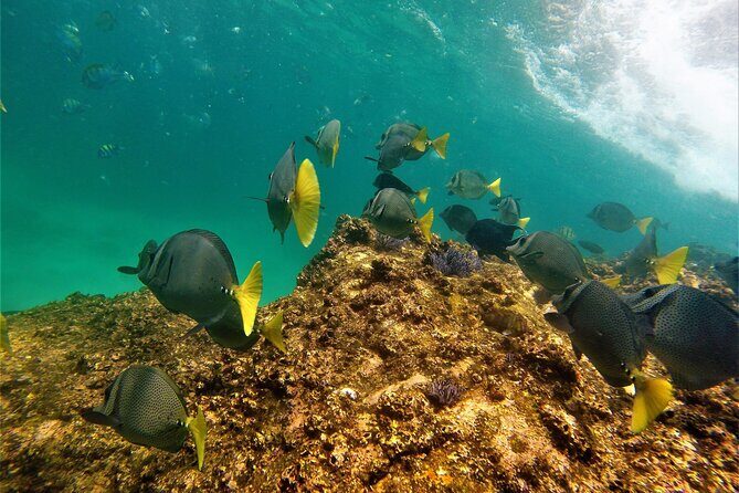 Boat ride to the Arch and Snorkel - The Sum Up