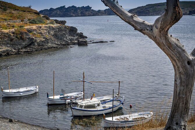 Boat through Cap de Creus and Port Lligat visit Cadaqués 1H30 - Frequently Asked Questions