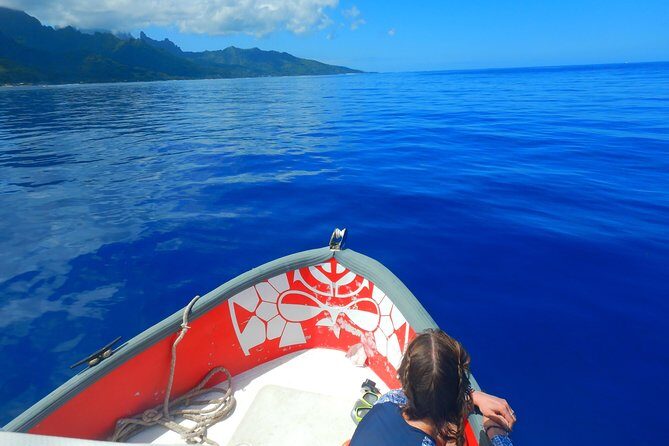 Boat tour 1/2 day Excursion in the lagoon of Moorea - What to Expect from the Moorea Lagoon Boat Tour