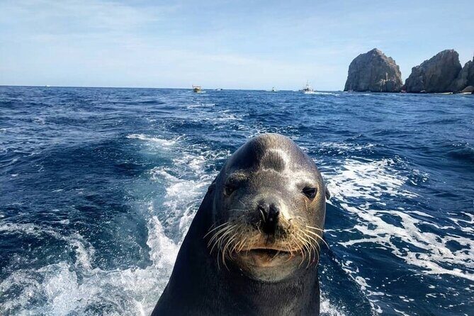 Boat Tour and Snorkel at Pelican Rock - How This Tour Fits Different Types of Travelers
