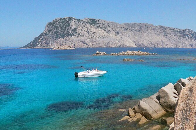 Boat Tour and Snorkeling Golfo di Olbia Private up to 6 people - Key Points