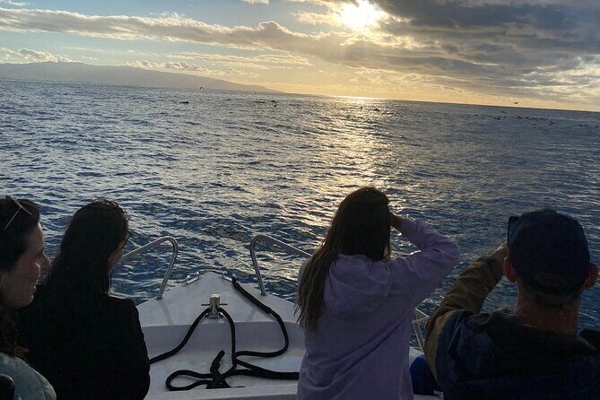 Boat Tour: Cave Tour on The North Coast - FAQ